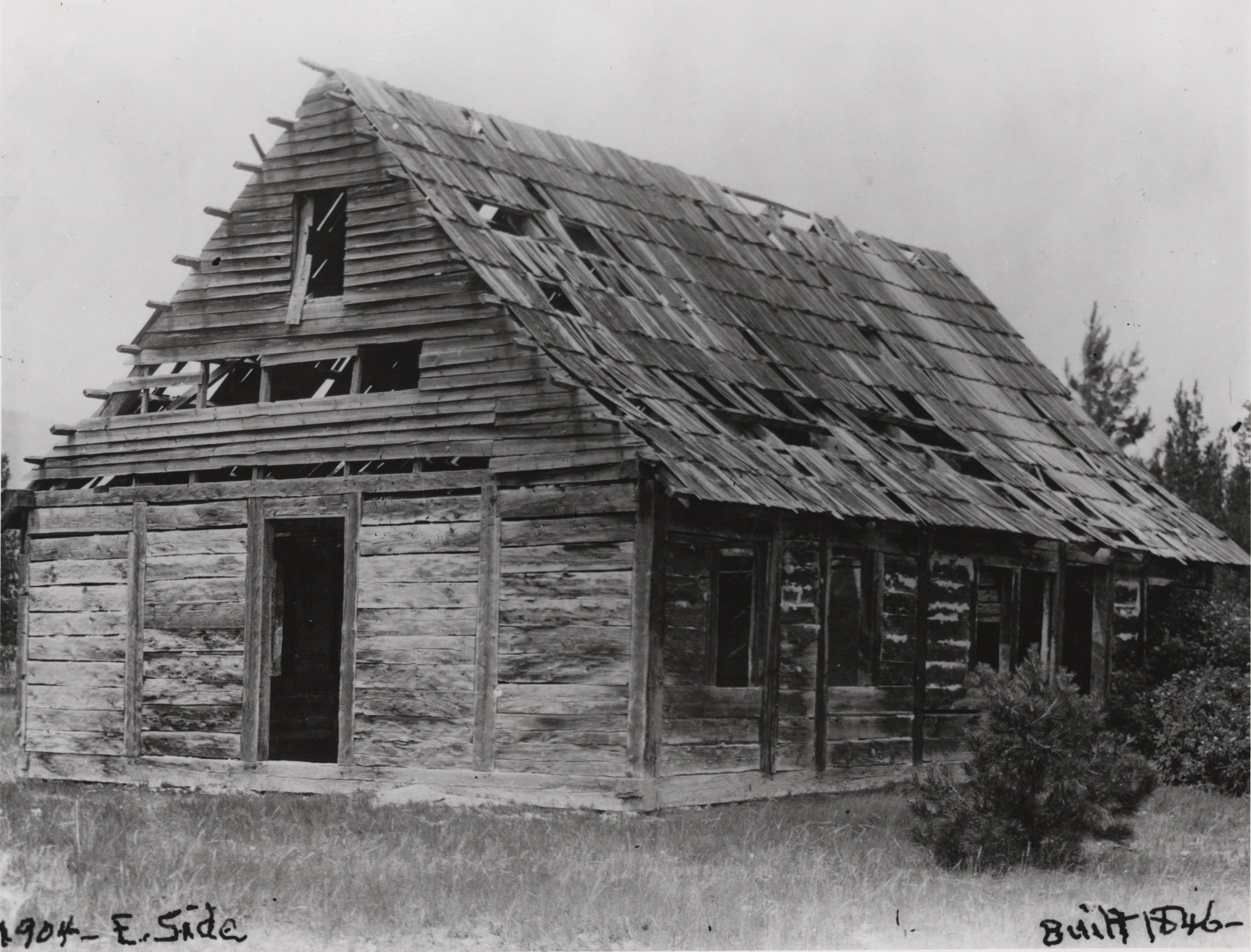 NPGallery Asset Detail