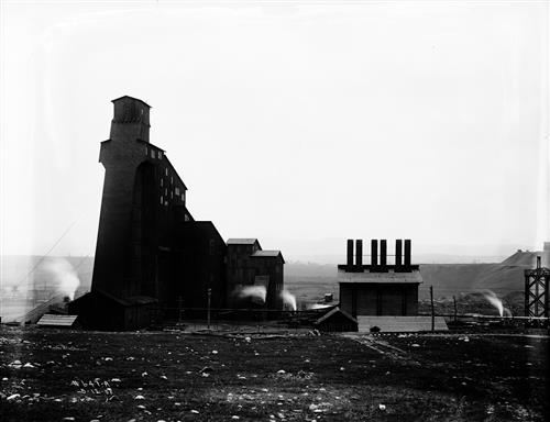 NPGallery Asset Detail