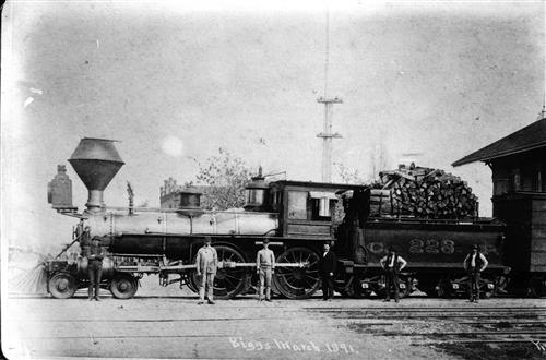 NPGallery Asset Detail