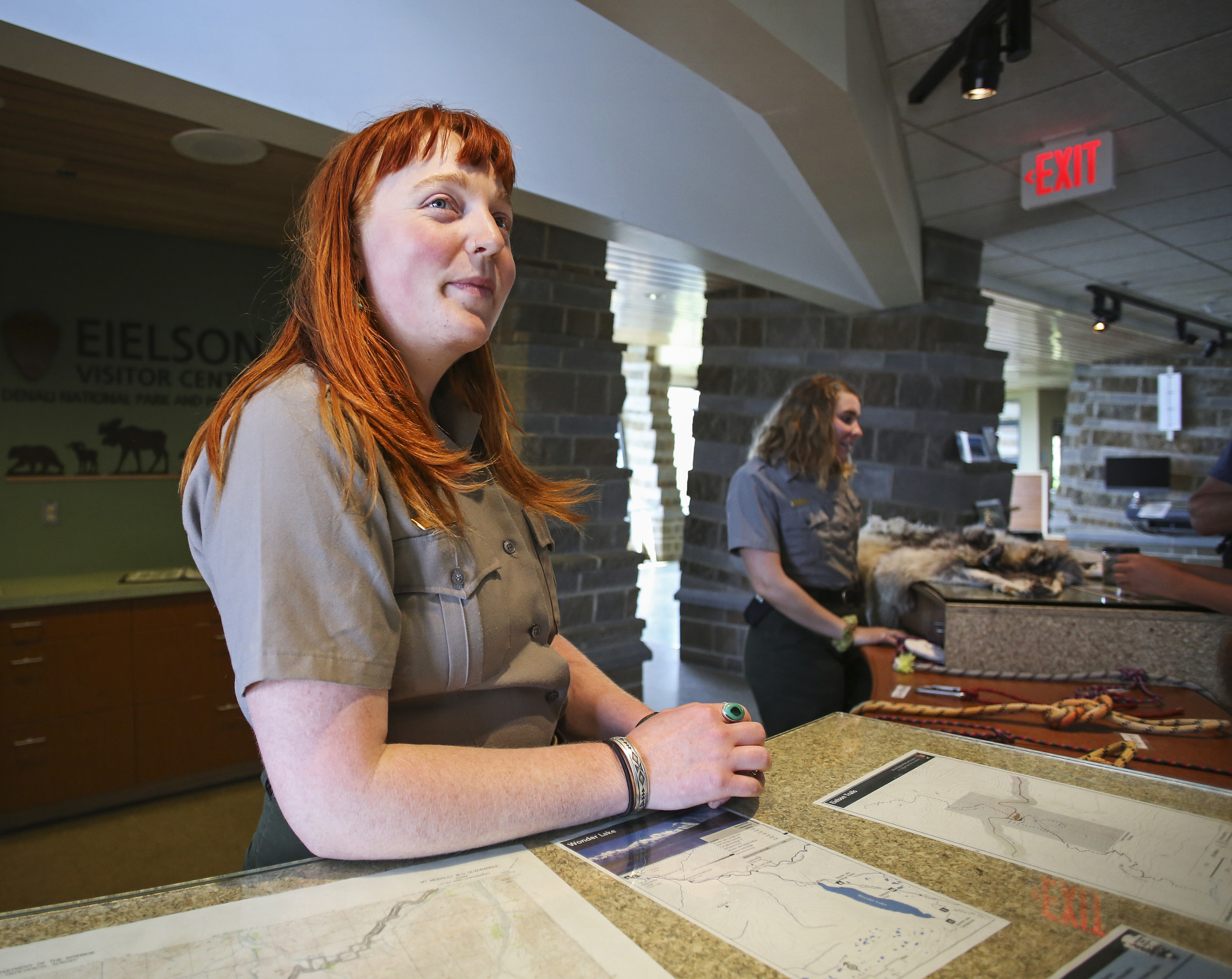 NPGallery Asset Detail