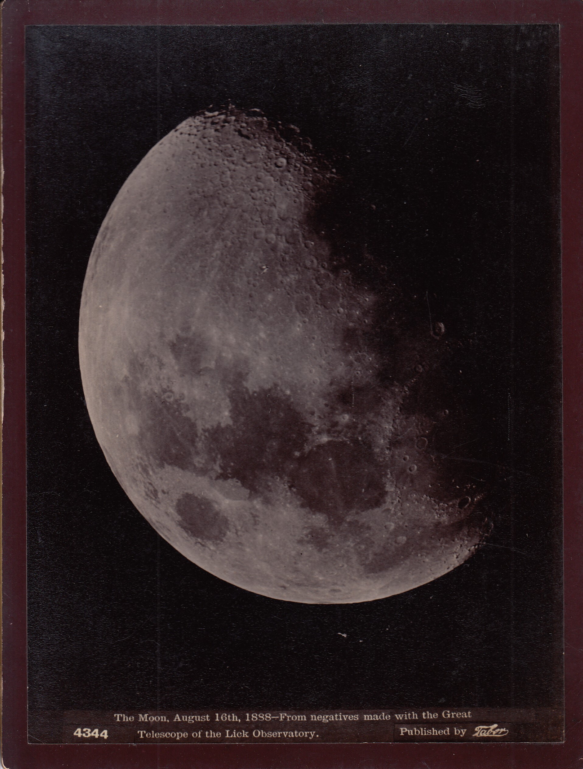 NPGallery Asset Detail