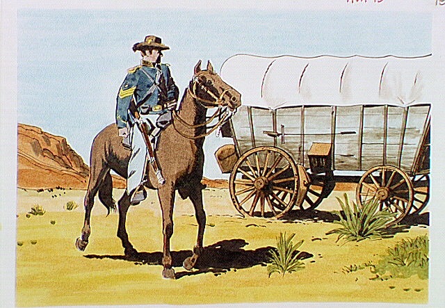 NPGallery Asset Detail