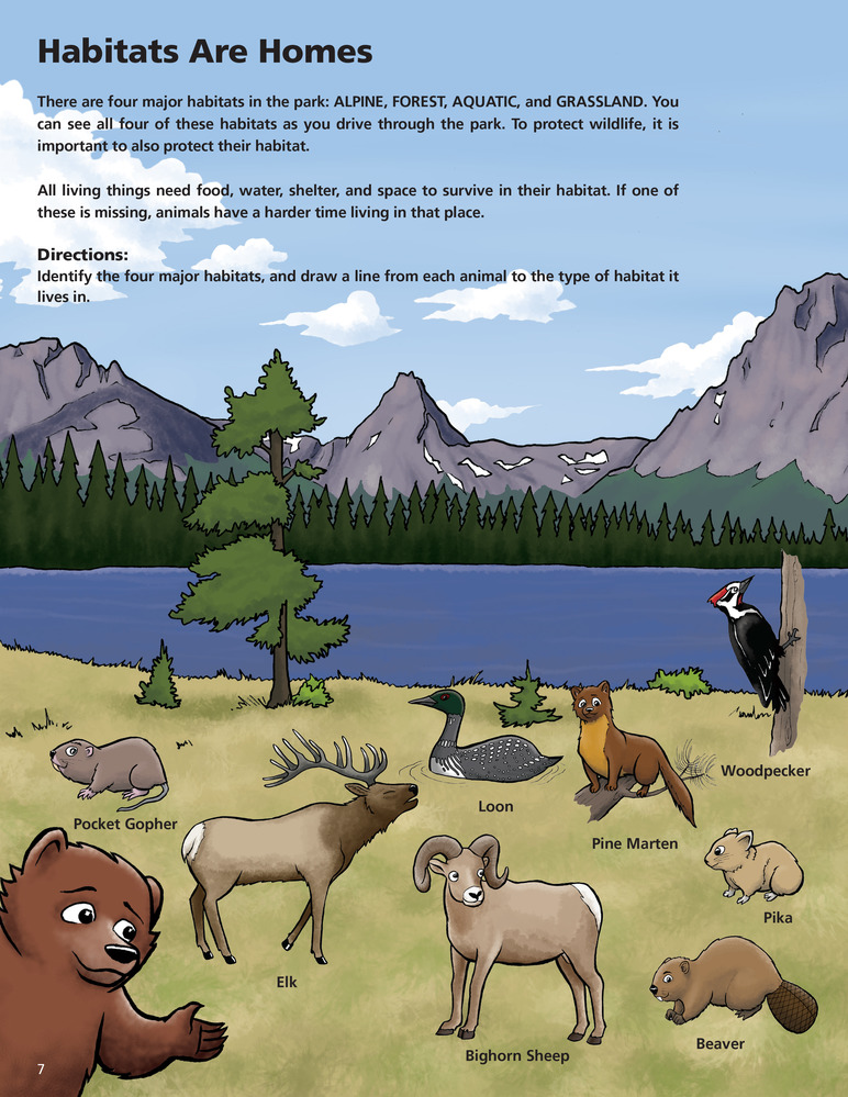 Activity and Coloring Pages - Glacier National Park (U.S. National Park ...