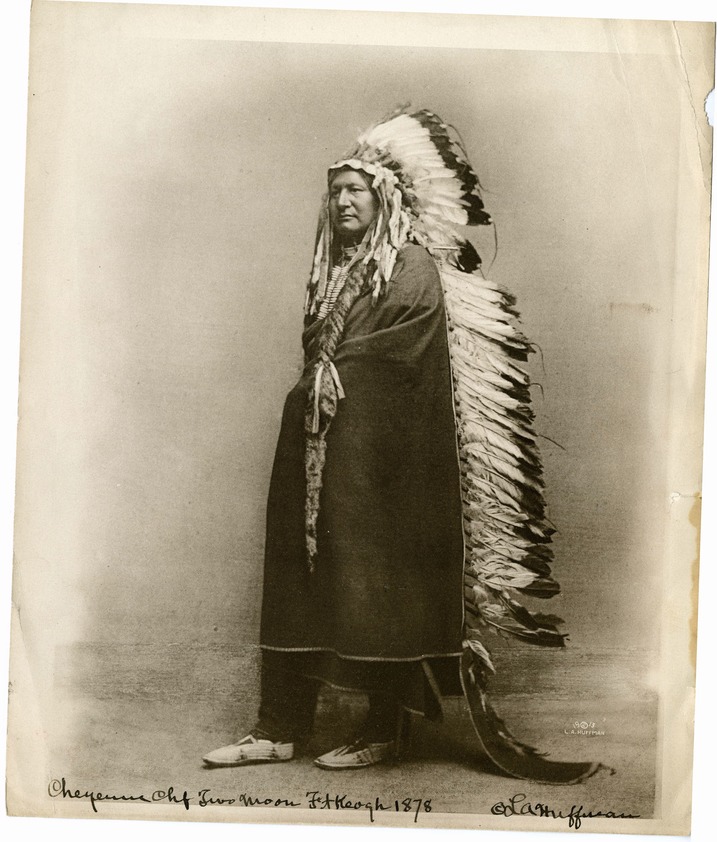 NPGallery Asset Detail