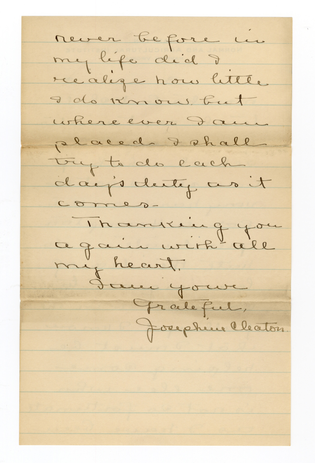 NPGallery Asset Detail