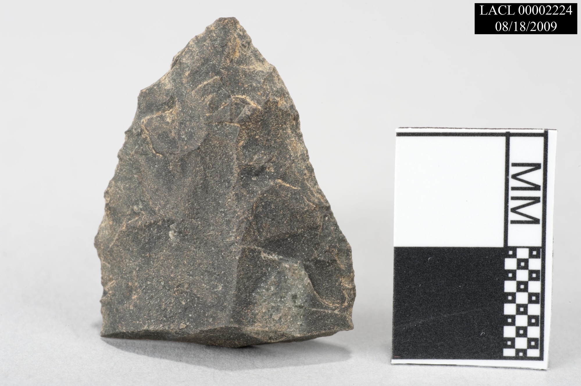 NPGallery Asset Detail