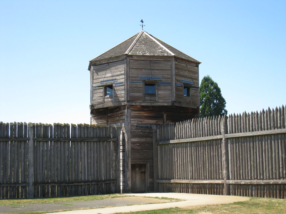 NPGallery Asset Detail