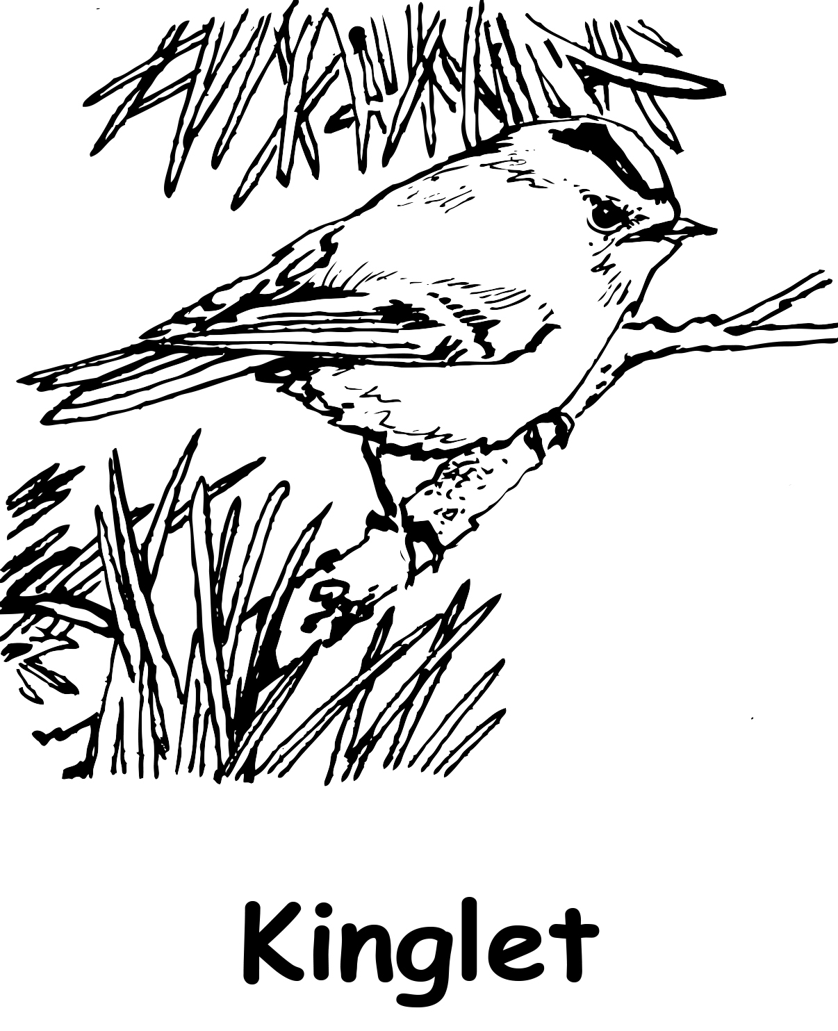 Activity and Coloring Pages - Glacier National Park (U.S. National Park ...