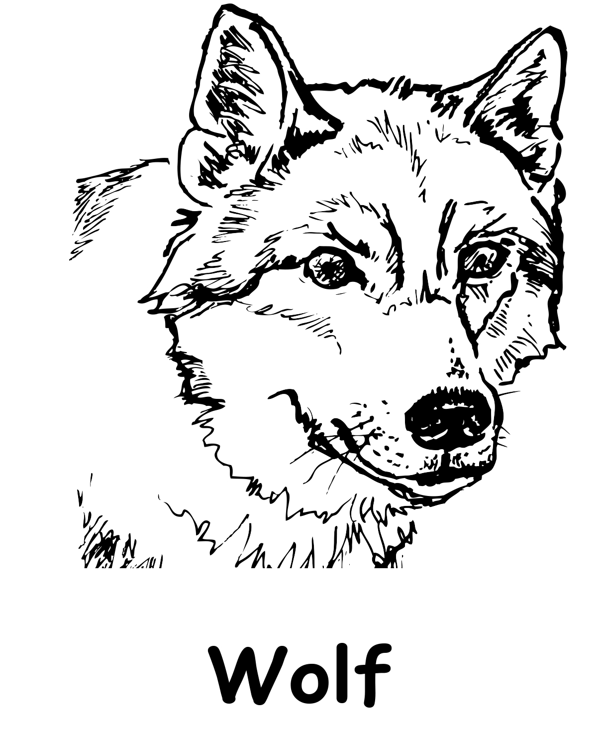 Activity and Coloring Pages - Glacier National Park (U.S. National Park ...