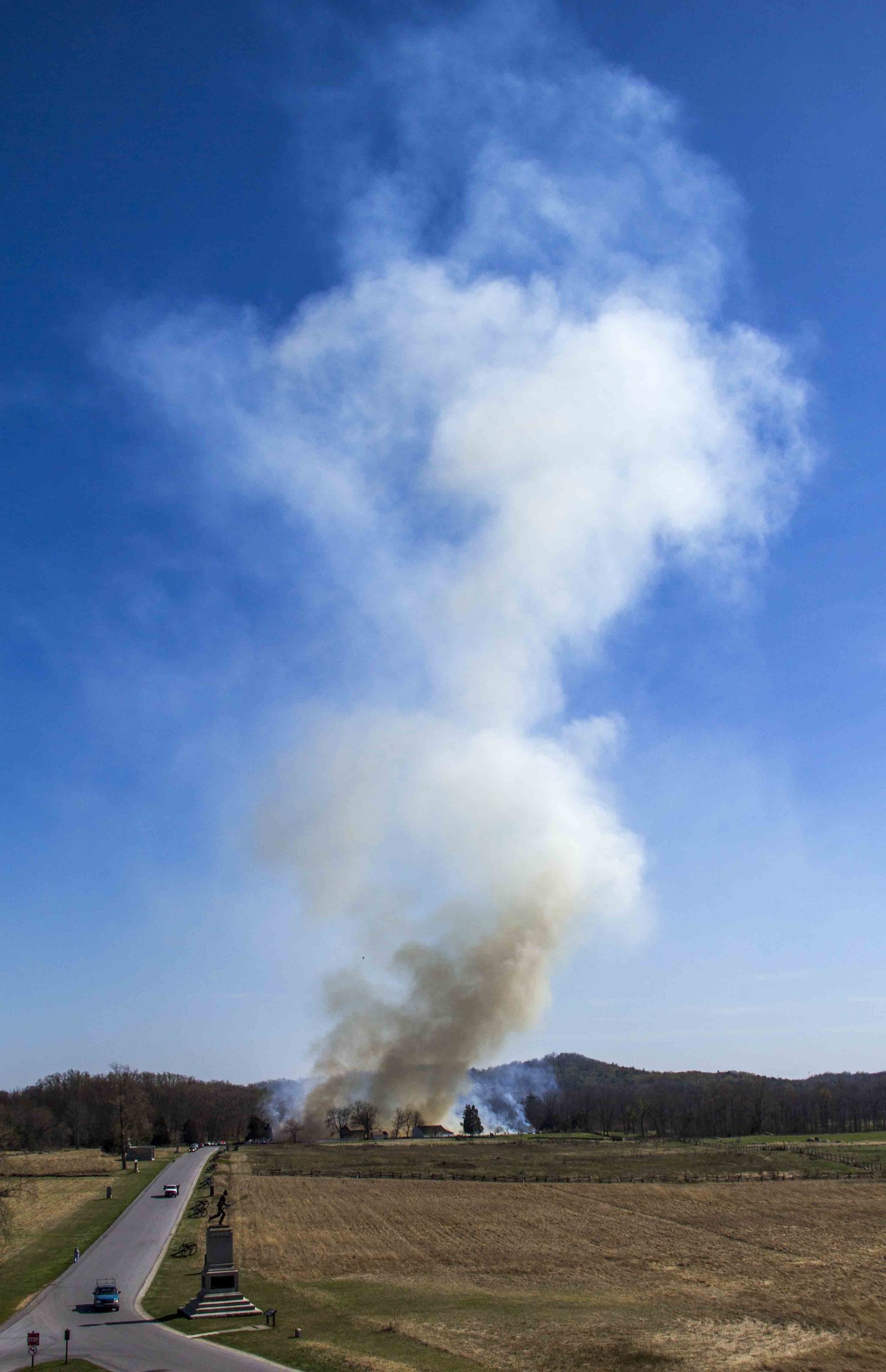 NPGallery Asset Detail