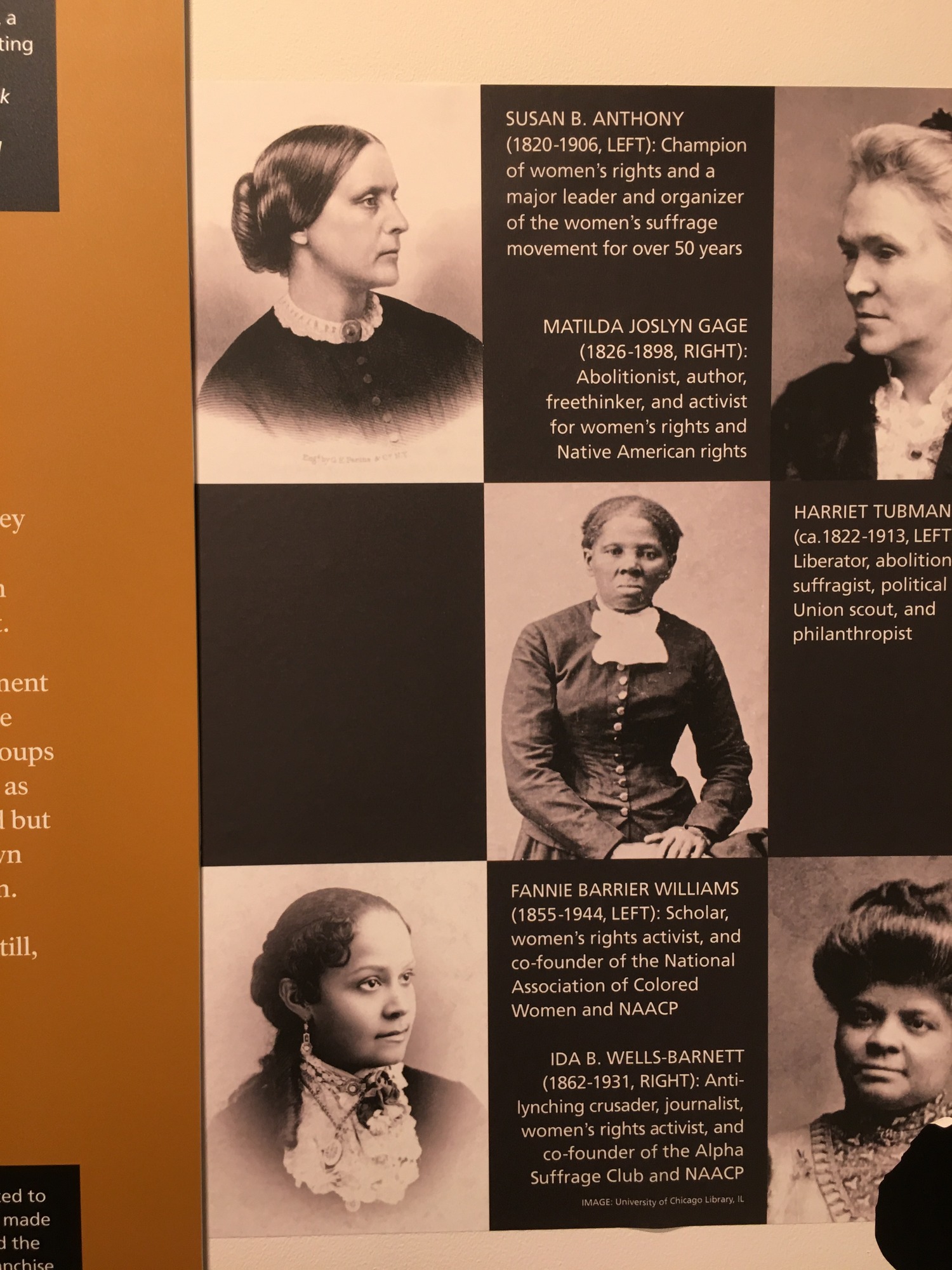 NPGallery Asset Detail