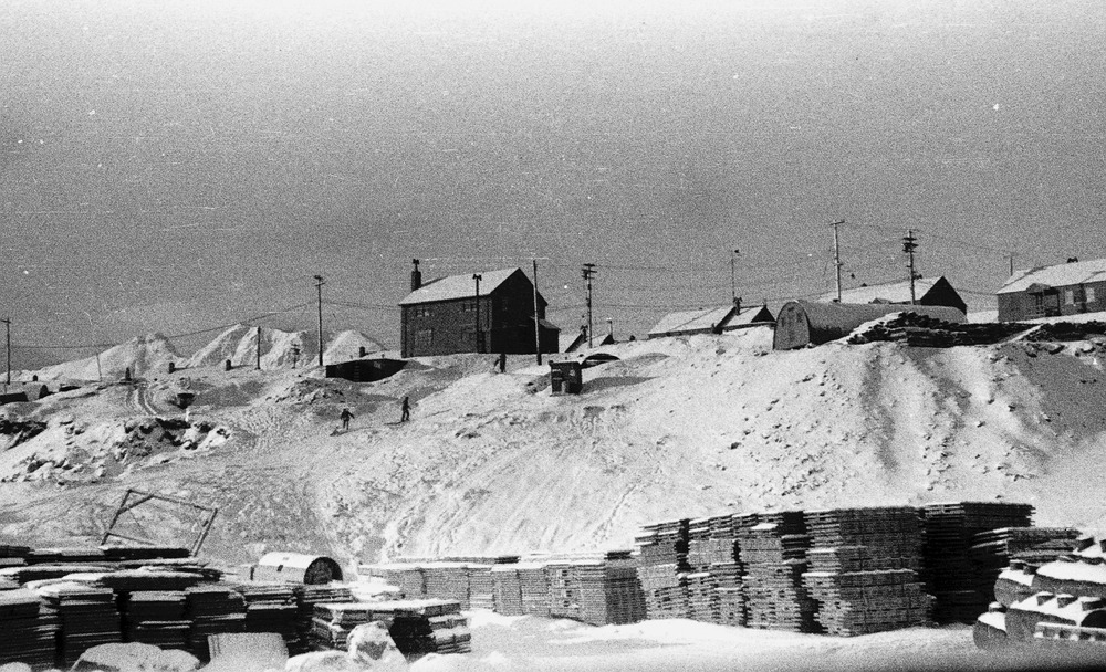 NPGallery Asset Detail