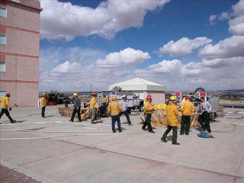 NPGallery Asset Detail