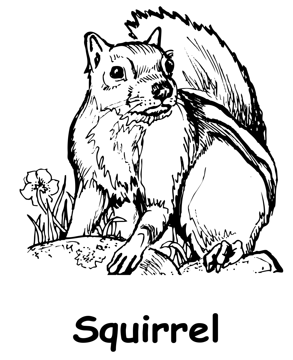 Activity and Coloring Pages - Glacier National Park (U.S. National Park ...