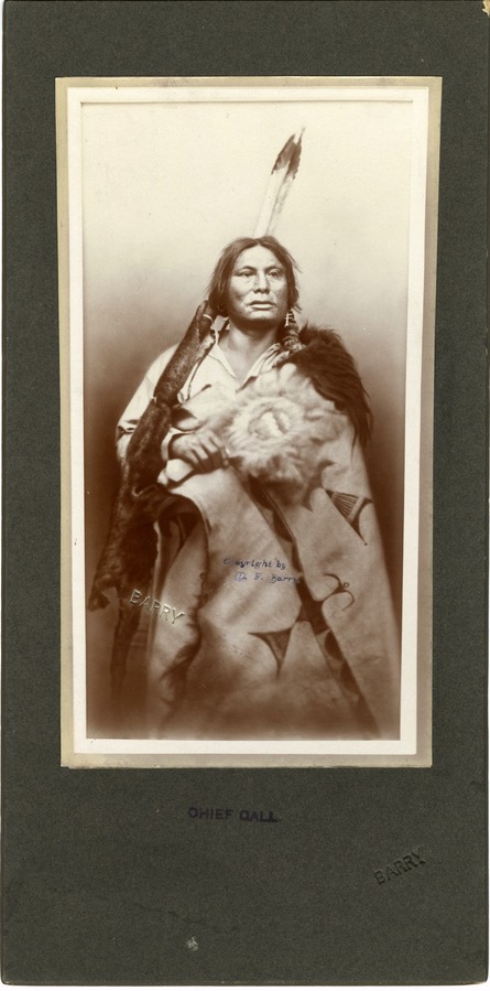 NPGallery Asset Detail