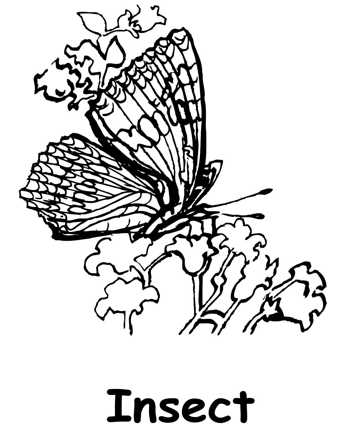 Activity and Coloring Pages - Glacier National Park (U.S. National Park ...