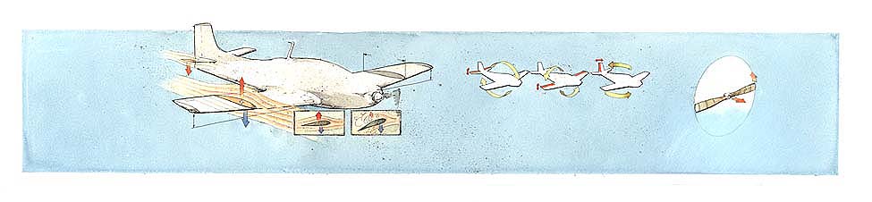 NPGallery Asset Detail