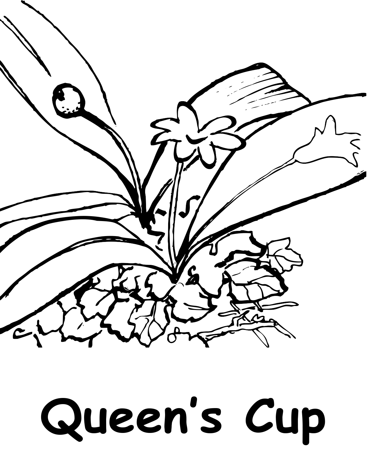 Activity and Coloring Pages - Glacier National Park (U.S. National Park ...