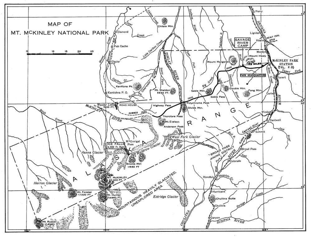 NPGallery Asset Detail