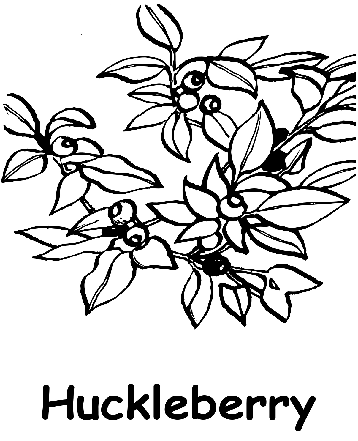 Activity and Coloring Pages - Glacier National Park (U.S. National Park ...