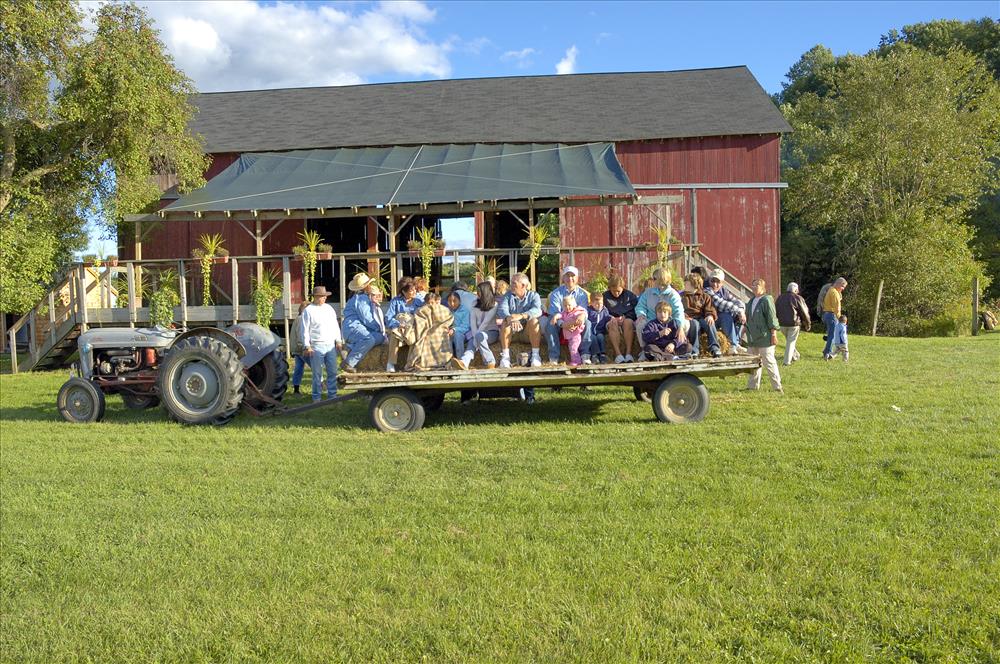 NPGallery Asset Detail