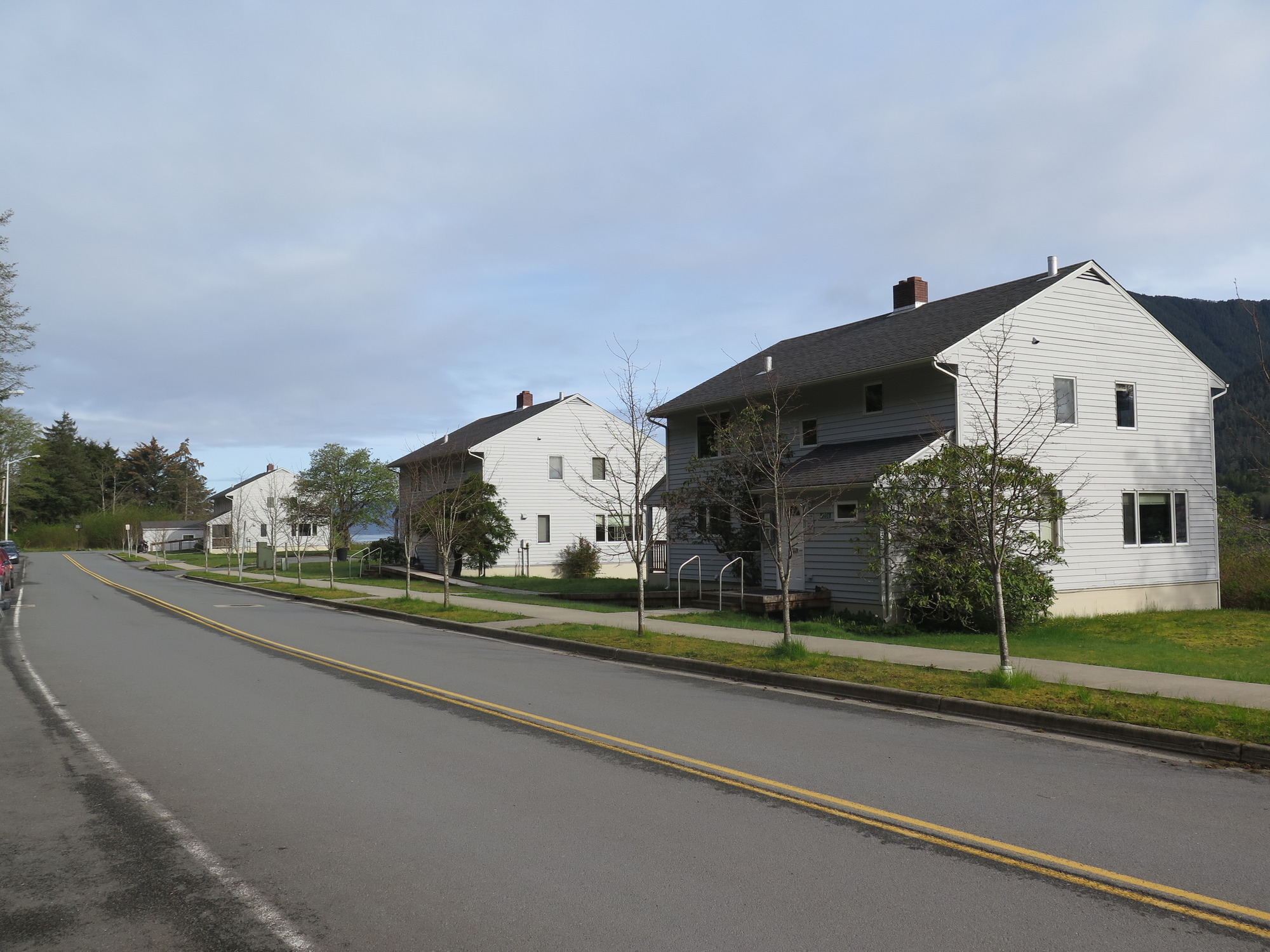 NPGallery Asset Detail