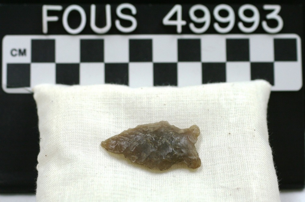 NPGallery Asset Detail