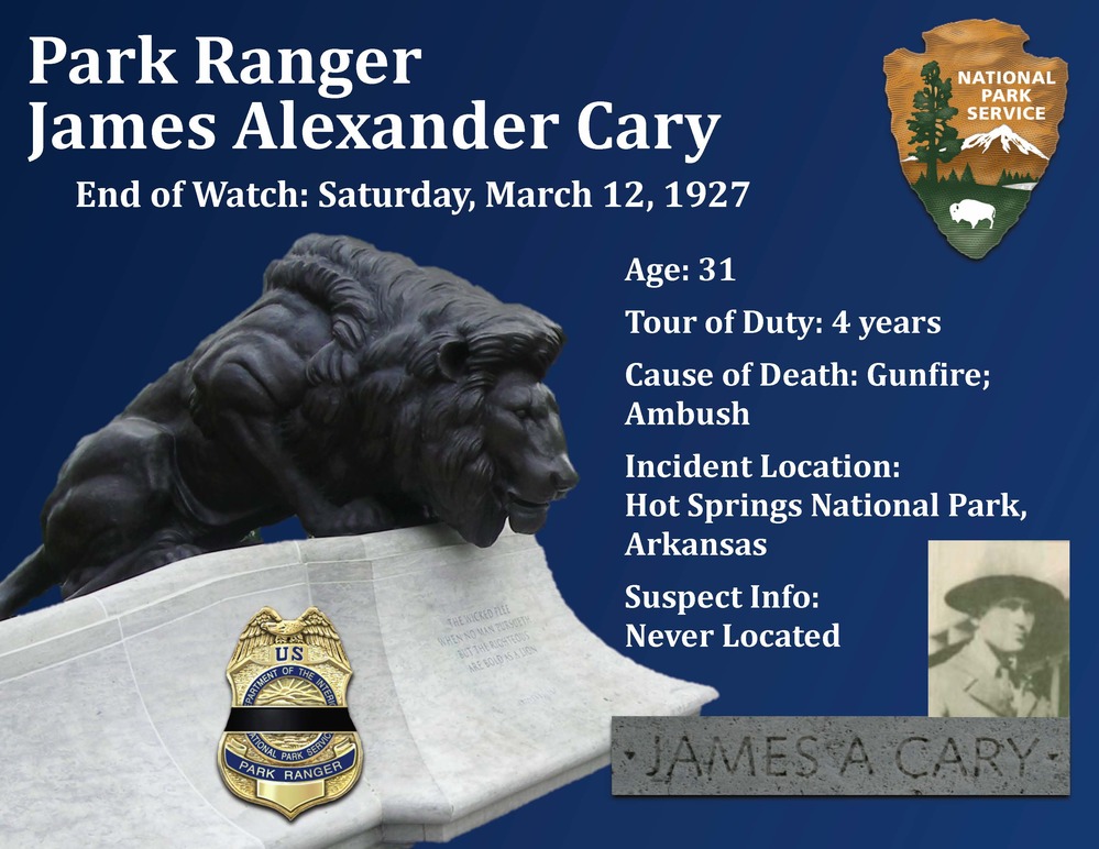 NPGallery Asset Detail