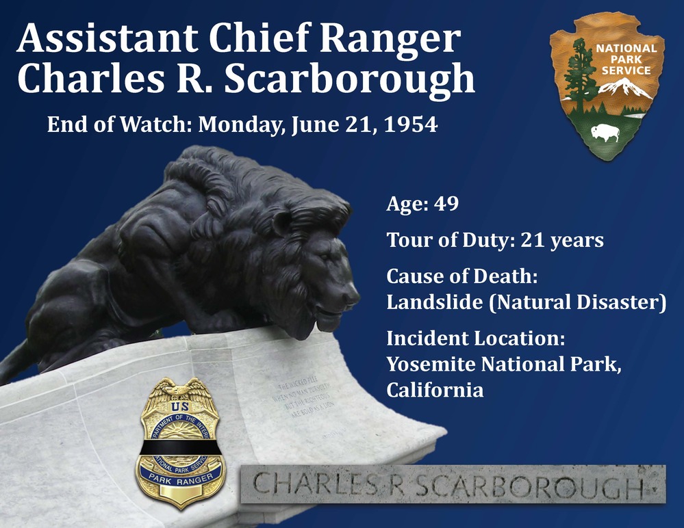 NPGallery Asset Detail