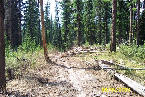 NPGallery Asset Detail