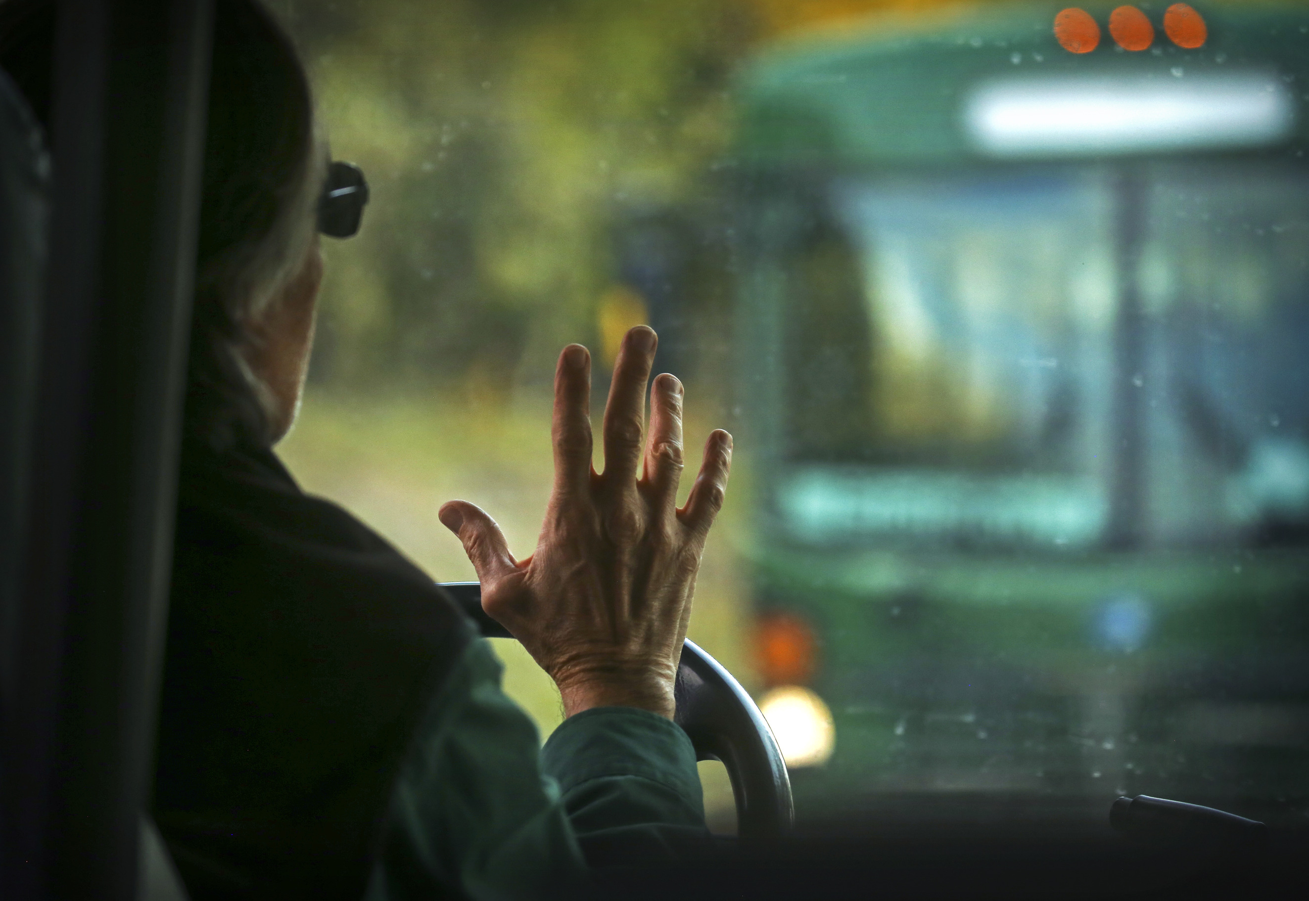 NPGallery Asset Detail