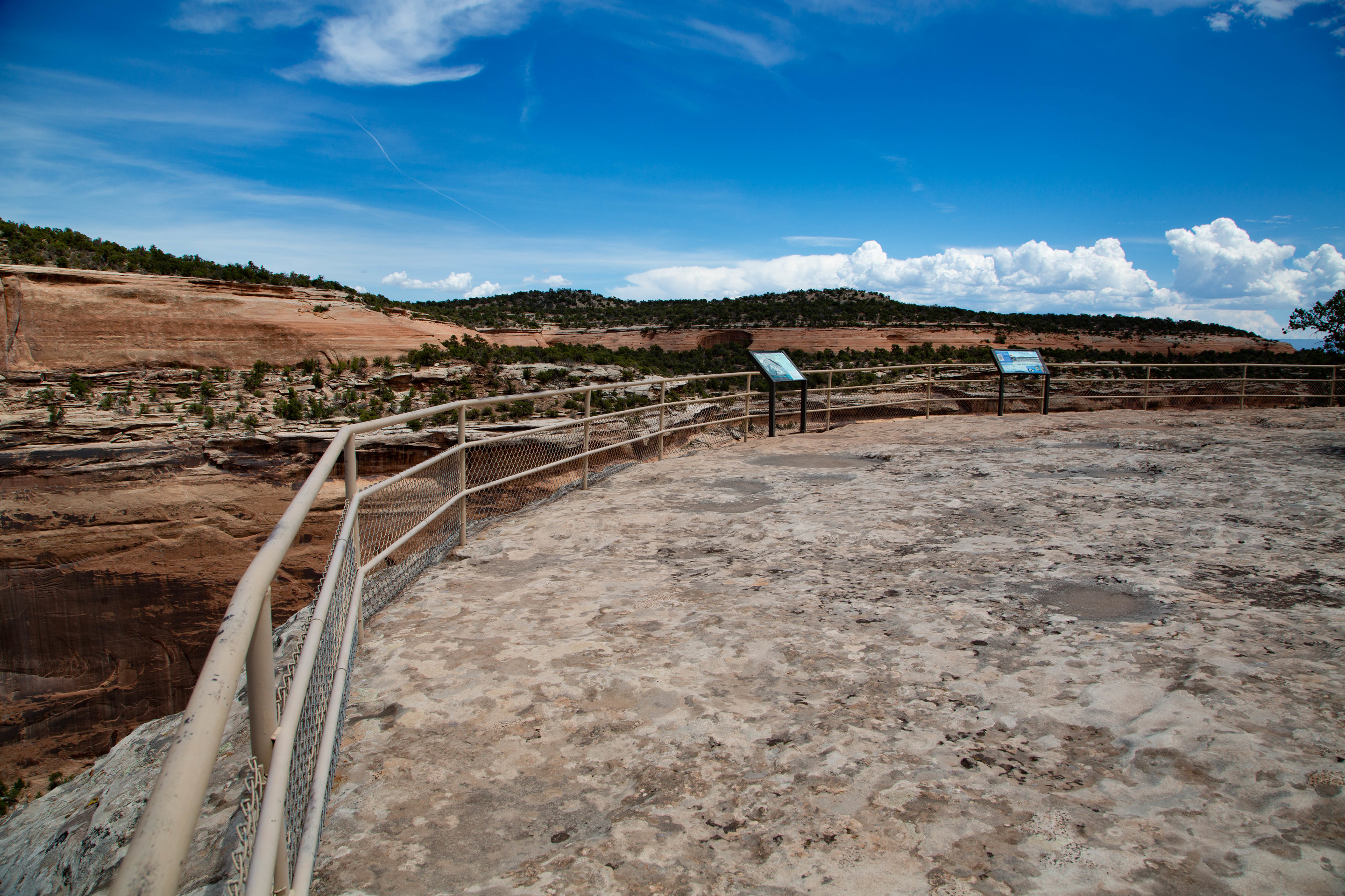 NPGallery Asset Detail