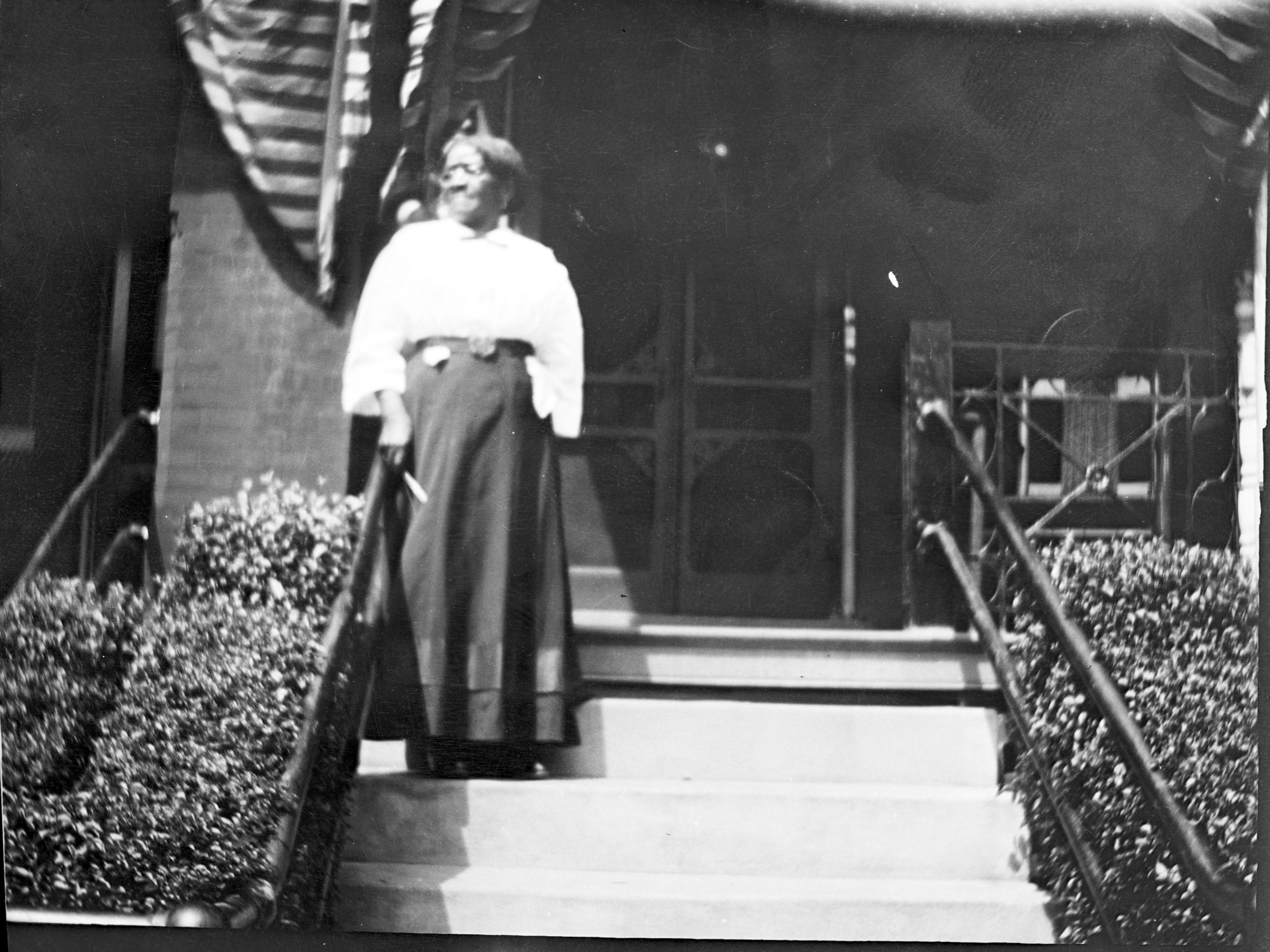 NPGallery Asset Detail