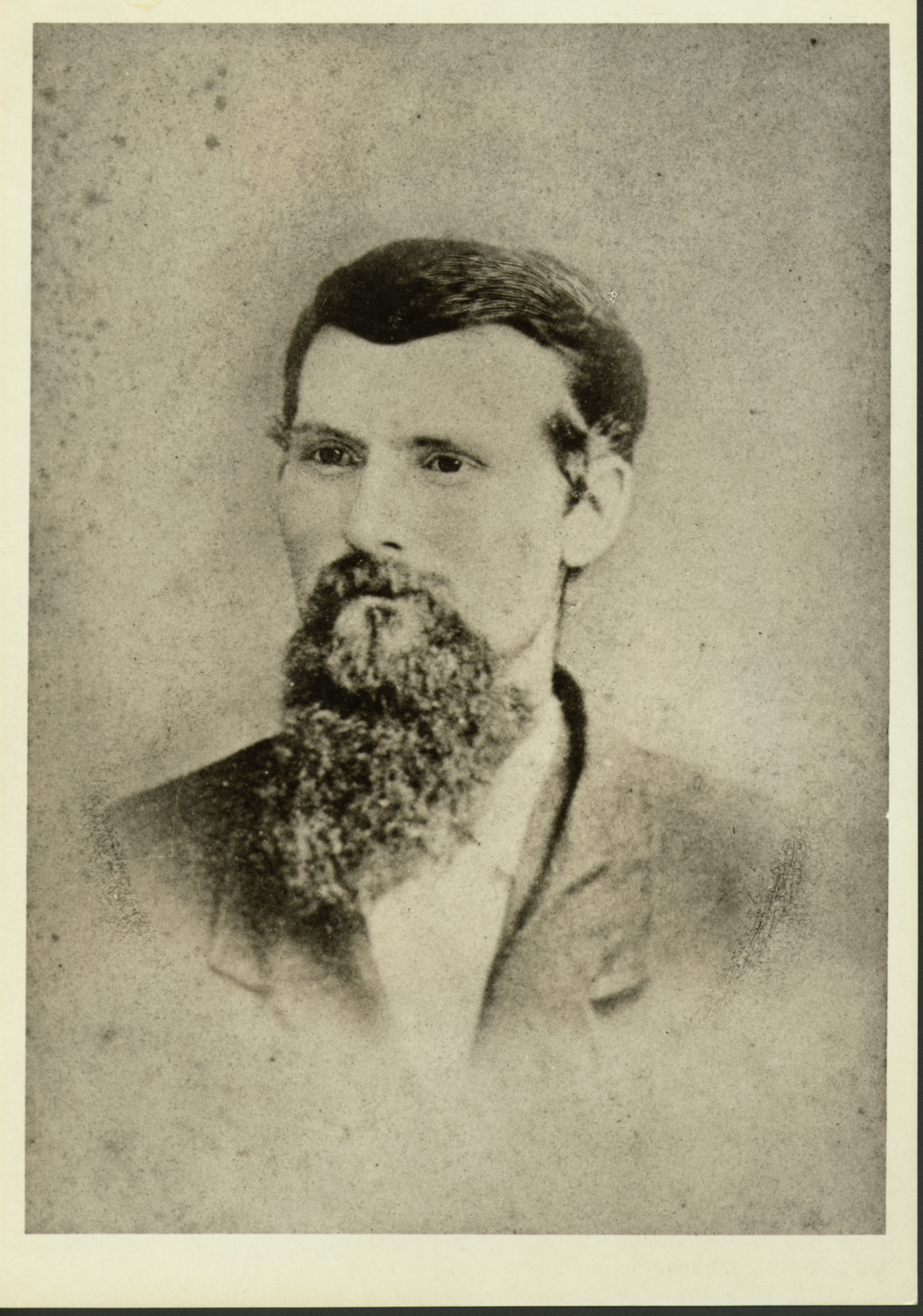 NPGallery Asset Detail