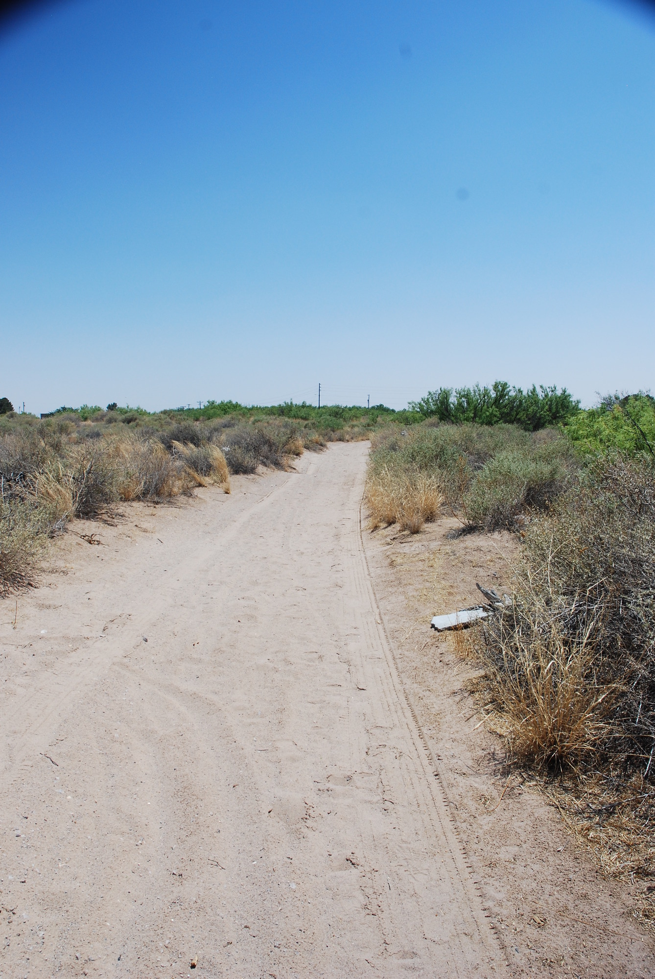 NPGallery Asset Detail