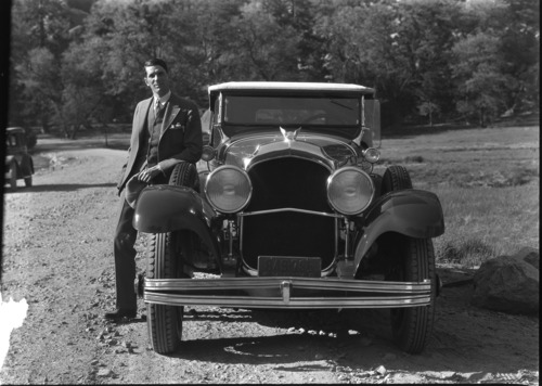 NPGallery Asset Detail