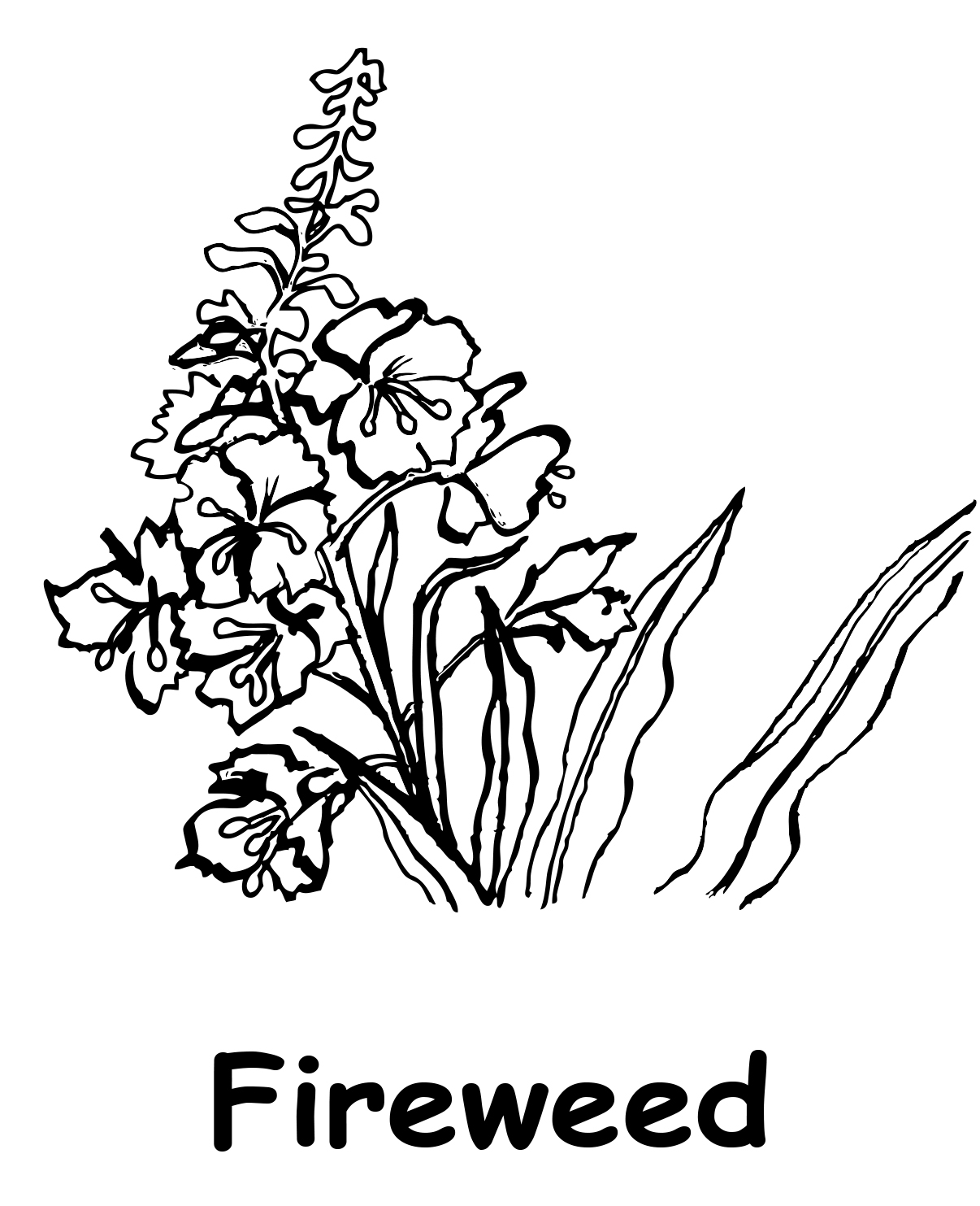 Activity and Coloring Pages - Glacier National Park (U.S. National Park ...
