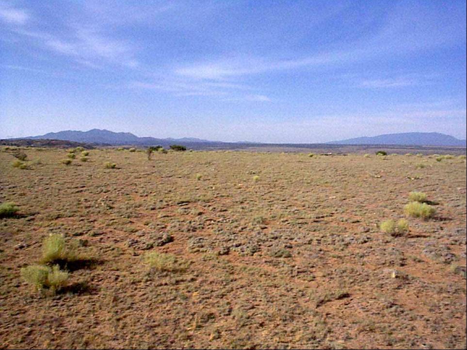 NPGallery Asset Detail