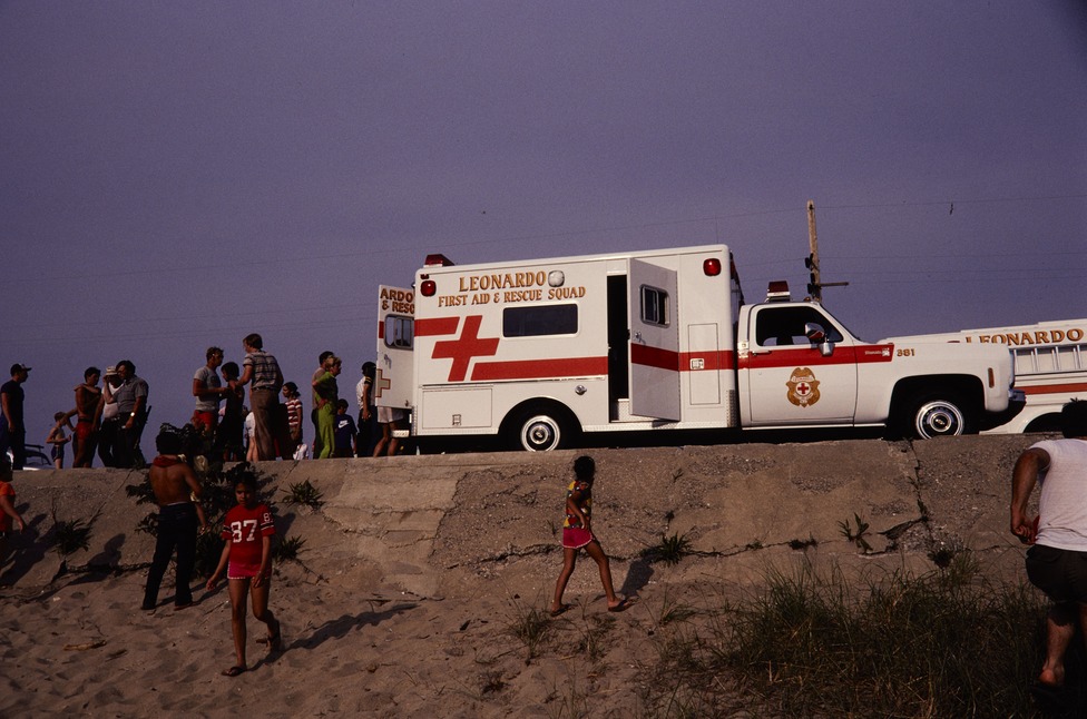 NPGallery Asset Detail