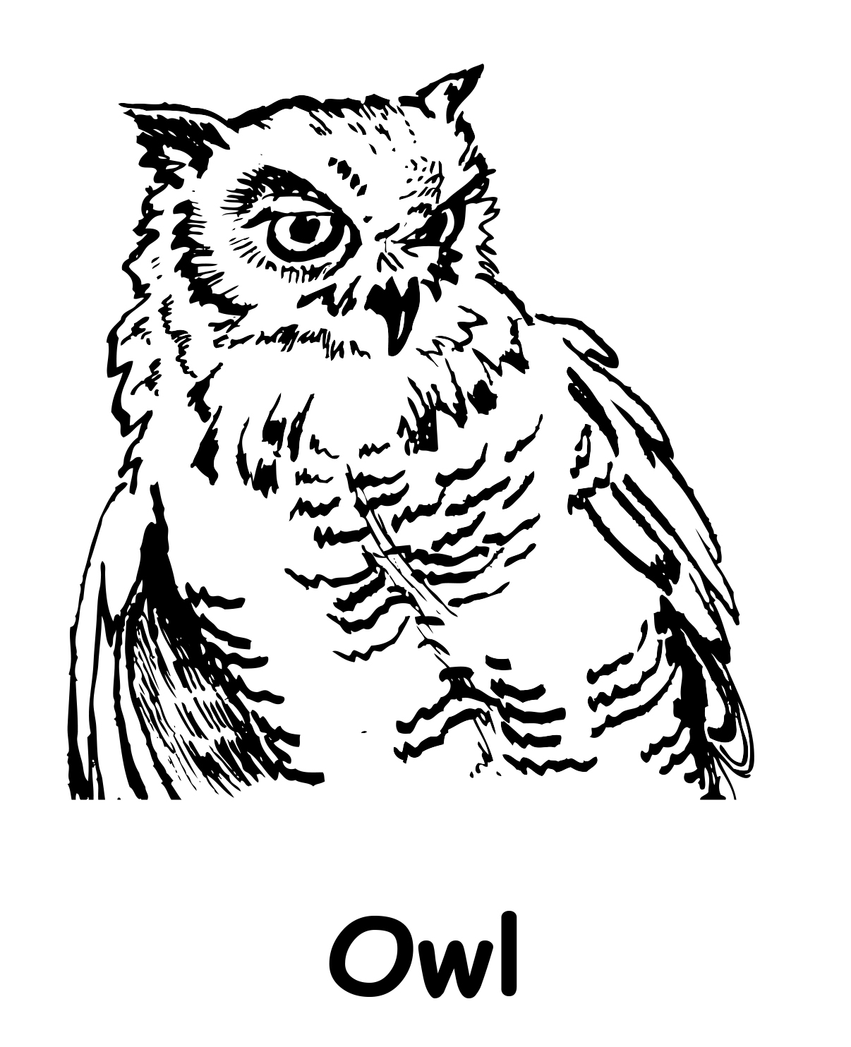 Activity and Coloring Pages - Glacier National Park (U.S. National Park ...