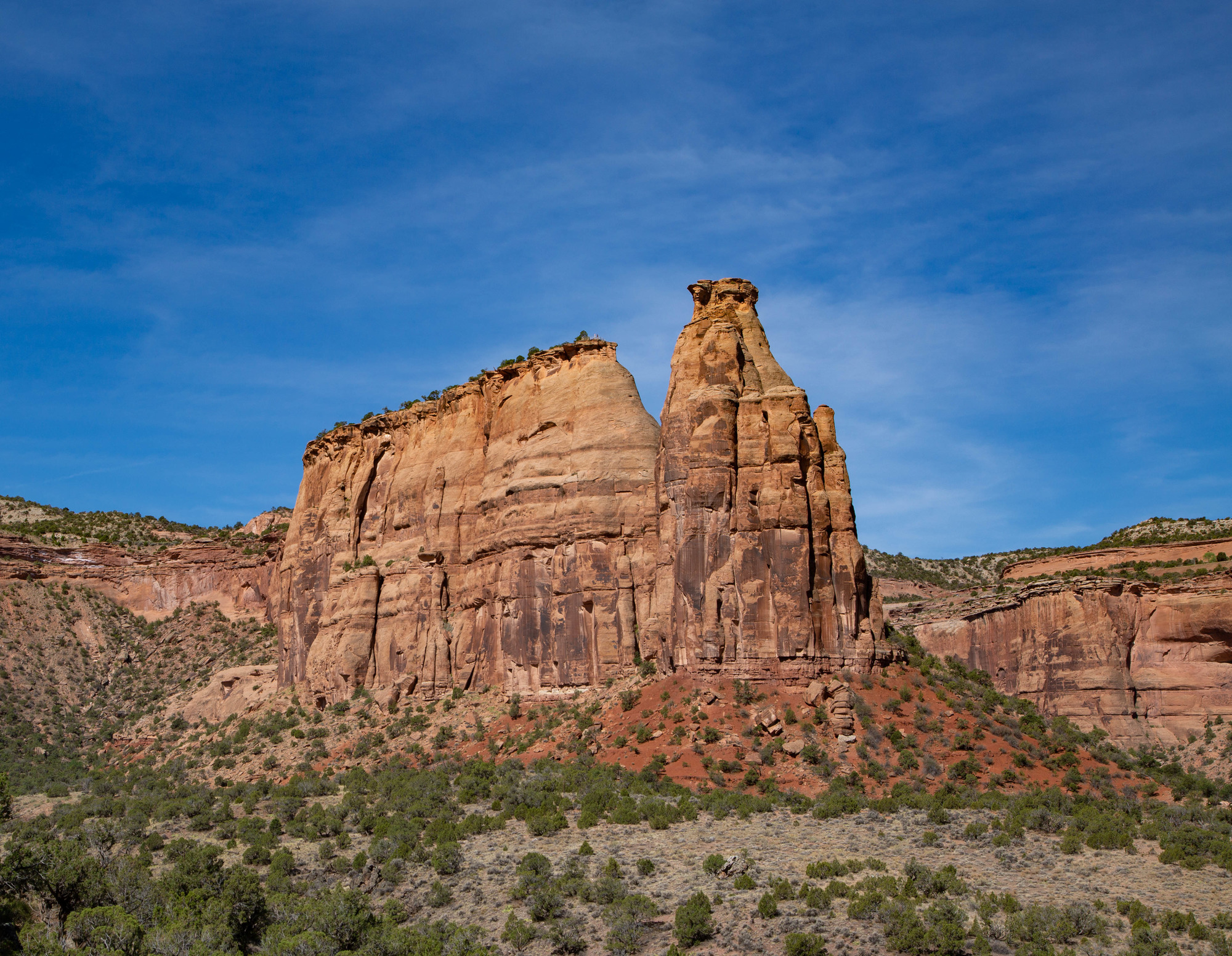 NPGallery Asset Detail