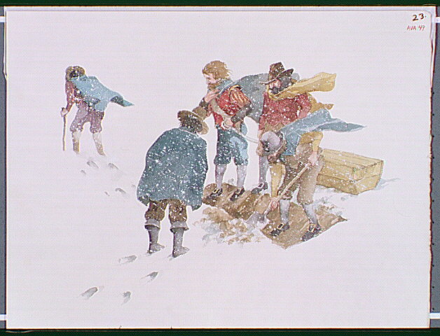 NPGallery HFC Archive Asset Detail