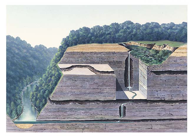 NPGallery HFC Archive Asset Detail