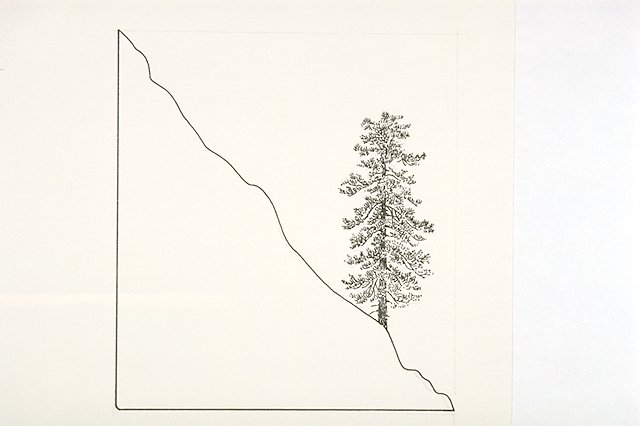 NPGallery HFC Archive Asset Detail