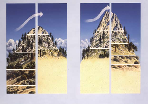 NPGallery HFC Archive Asset Detail