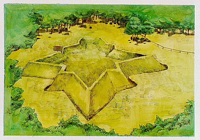 NPGallery HFC Archive Asset Detail