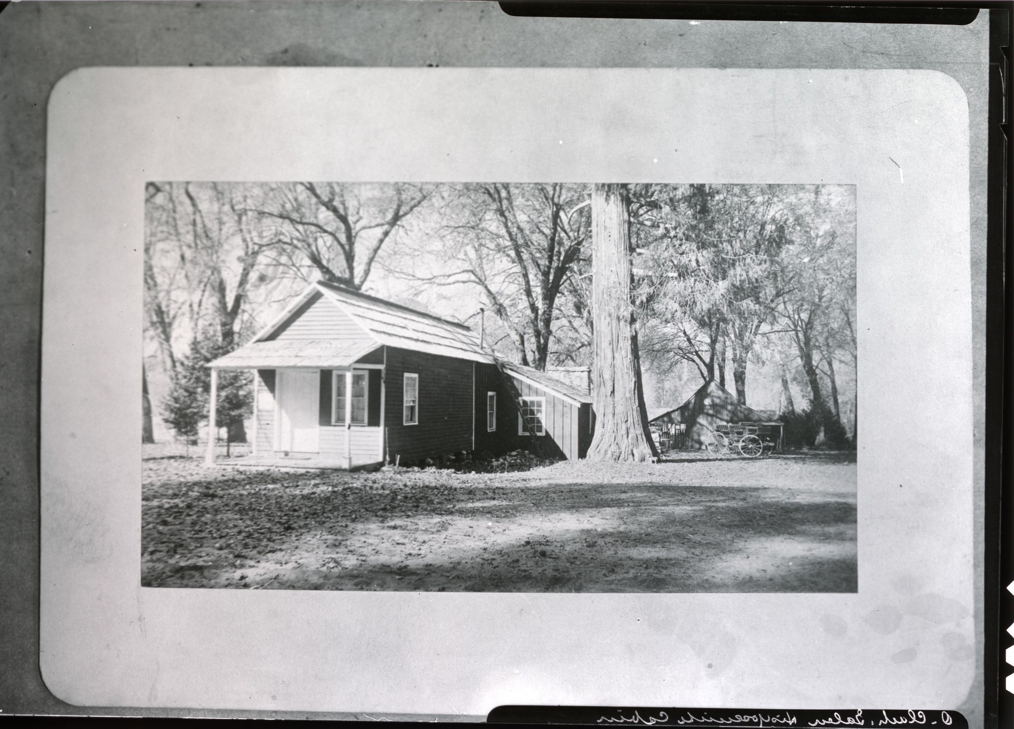 NPGallery YOSE Archive Asset Detail