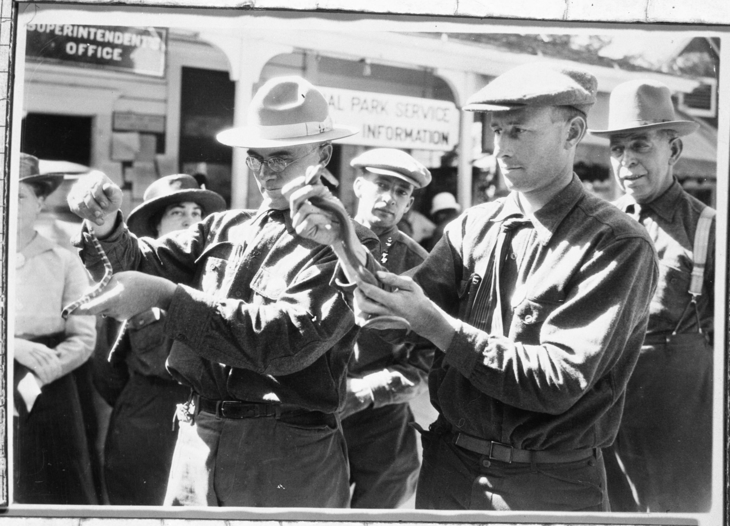 NPGallery YOSE Archive Asset Detail